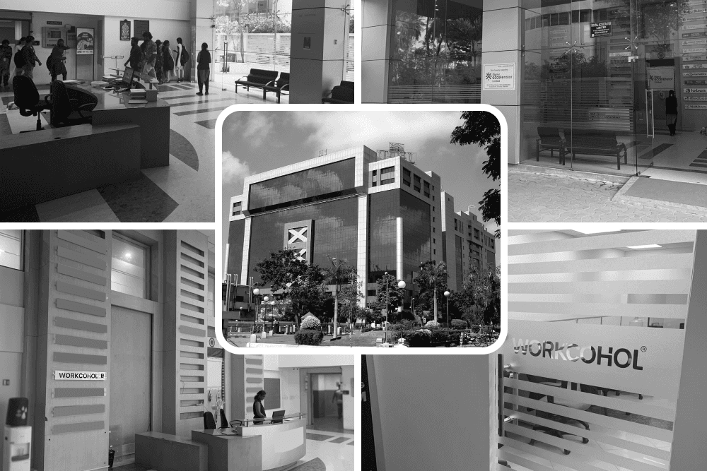 Workcohol || About Us | Leading Technology Service Provider